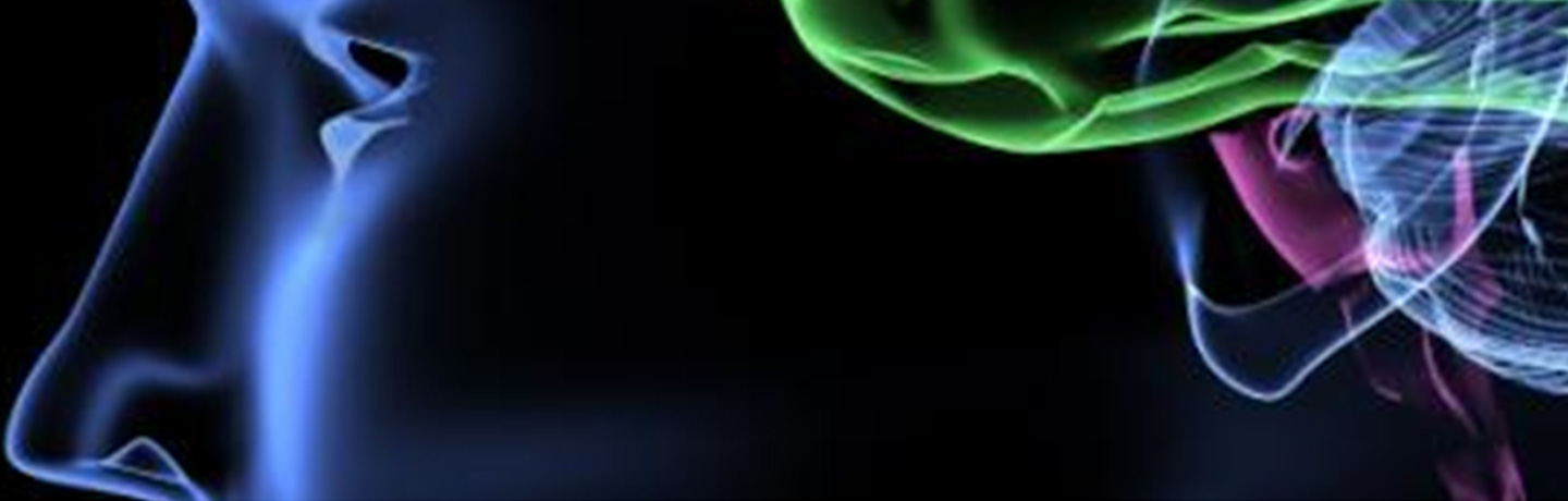 A New Generation of Ultrasonic Scalpels: the Microscalpel - Haute-Ecole Arc