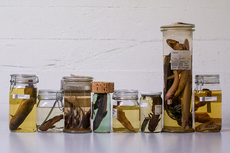 PFC2024 - Preservation of Fluid Collections - Haute-Ecole Arc